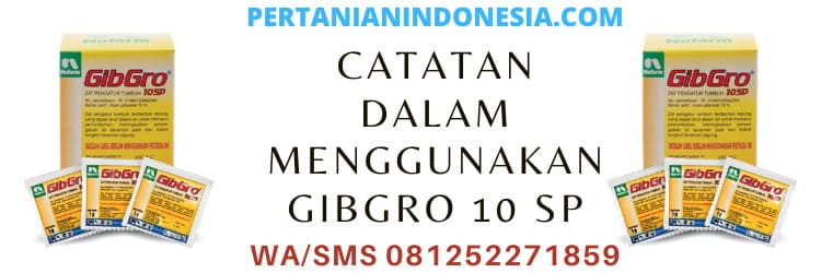 Gibgro 10 SP ZPT Unggul Dan Ampuh Untuk Pertumbuhan Tanaman