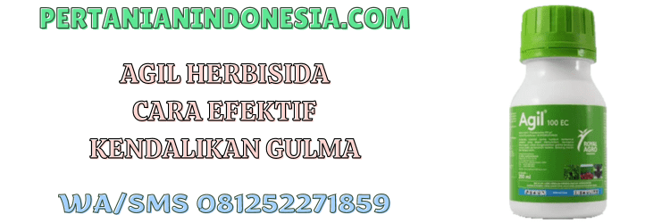 Agil Herbisida Ampuh Untuk Basmi Gulma