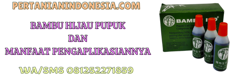 Bambu Hijau Pupuk Berkualitas Unggul Harga Terjangkau