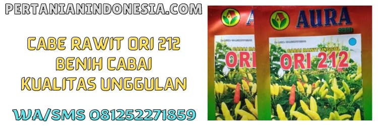 Cabe Rawit Ori 212 Benih Aura Seed Terbaik Bagi Petani