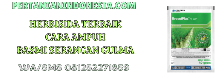 Herbisida Terbaik Rekomendasi Untuk Petani