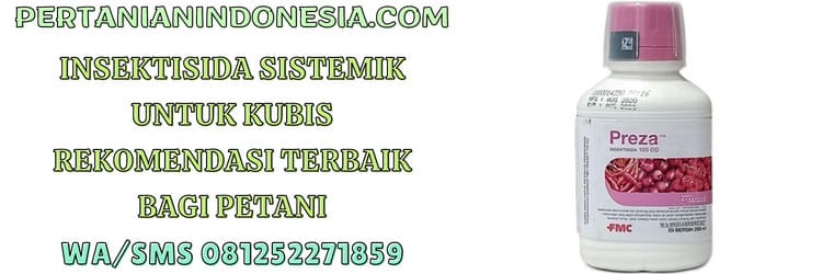 Insektisida Sistemik Untuk Kubis Efektif Musnahkan Hama Serangga