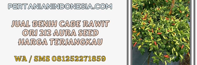 Cabe Rawit Ori 212 Benih Aura Seed Terbaik Bagi Petani