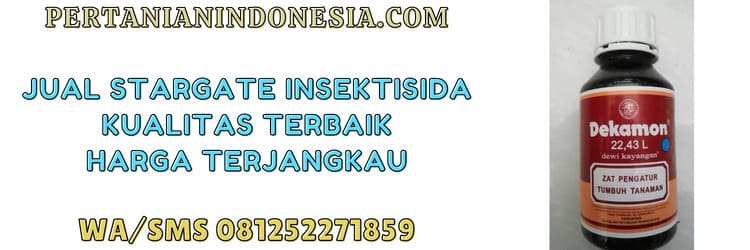 Stargate Insektisida Unggul Kualitas Terjamin