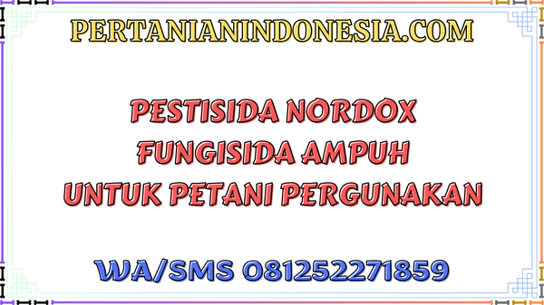 Pestisida Nordox Fungisida Ampuh Untuk Petani Pergunakan