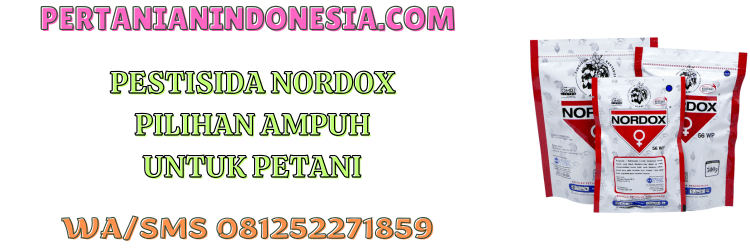 Pestisida Nordox Fungisida Ampuh Untuk Petani Pergunakan