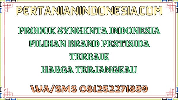 Produk Syngenta Indonesia Pilihan Brand Pestisida Terbaik Harga Terjangkau
