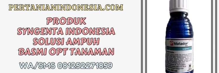Produk Syngenta Indonesia Pilihan Brand Pestisida Terbaik Harga Terjangkau