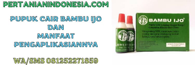 Pupuk Cair Bambu Ijo Kualitas Unggul Harga Terjangkau