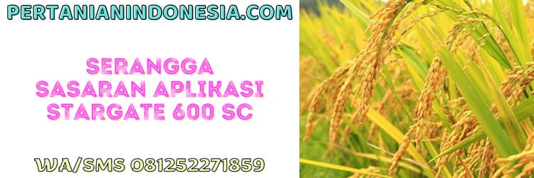Stargate Insektisida Unggul Kualitas Terjamin