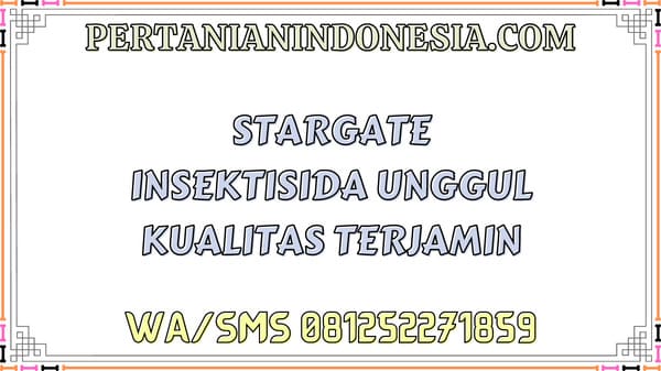 Stargate Insektisida Unggul Kualitas Terjamin